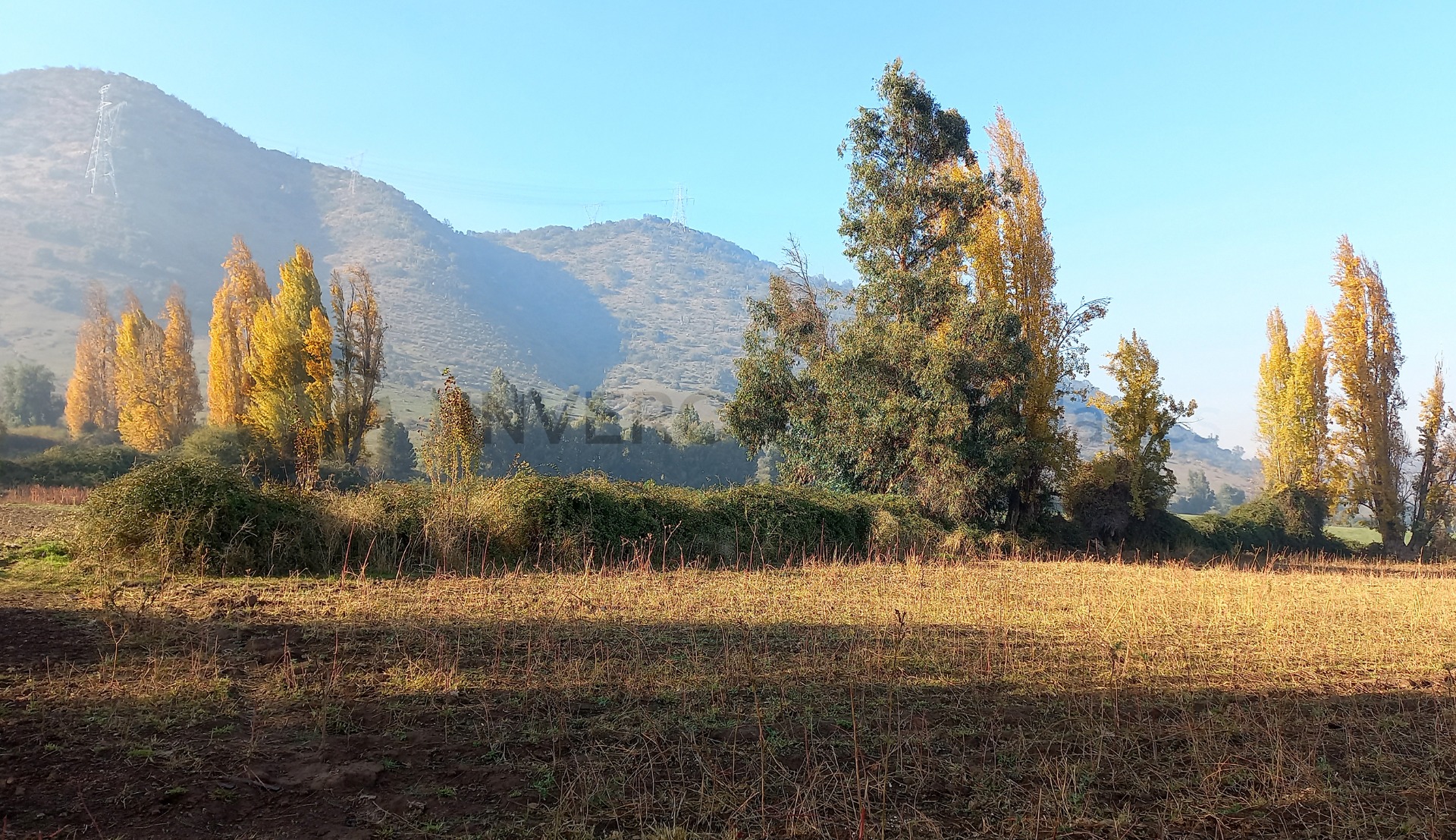 Parcela en Venta en Los Lingues